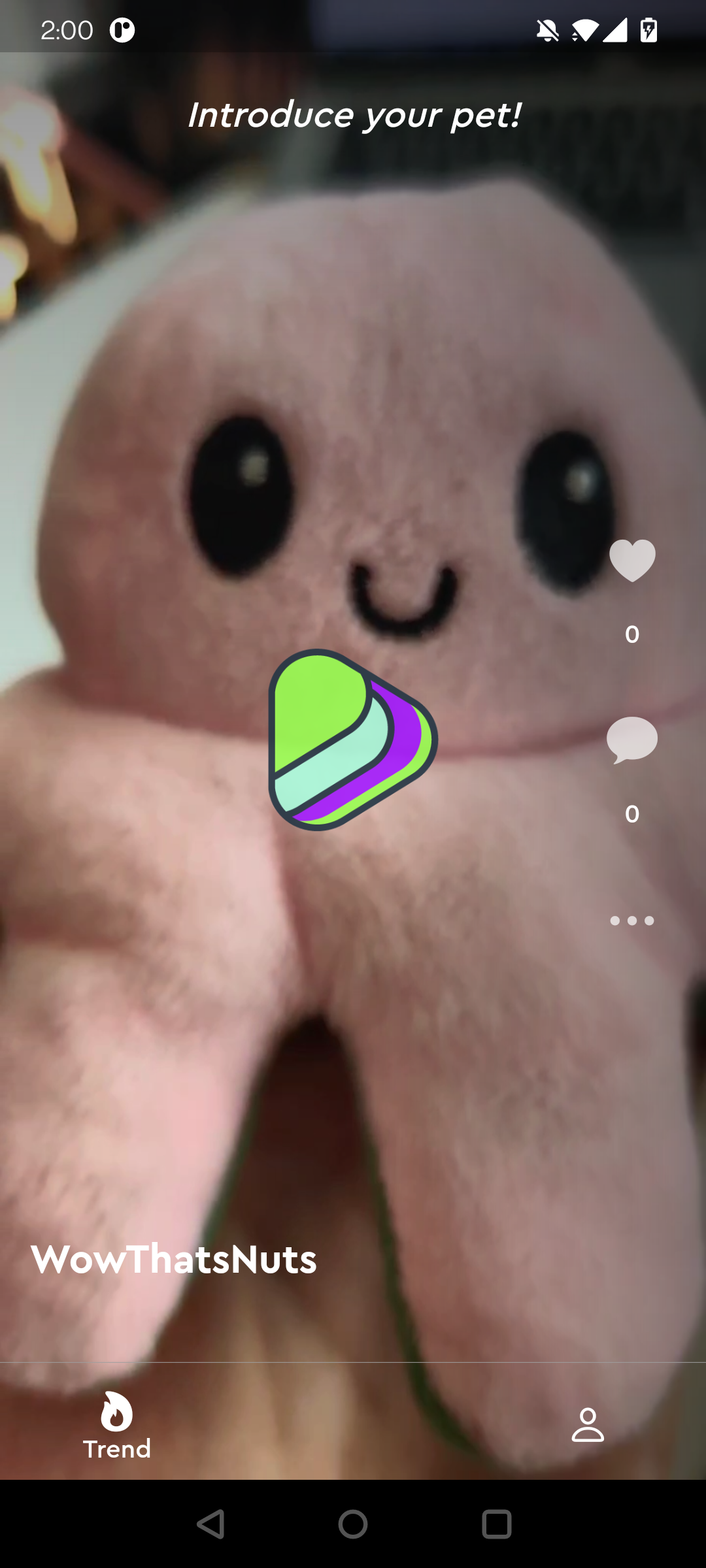 Favely (2023) | Jason Rivers